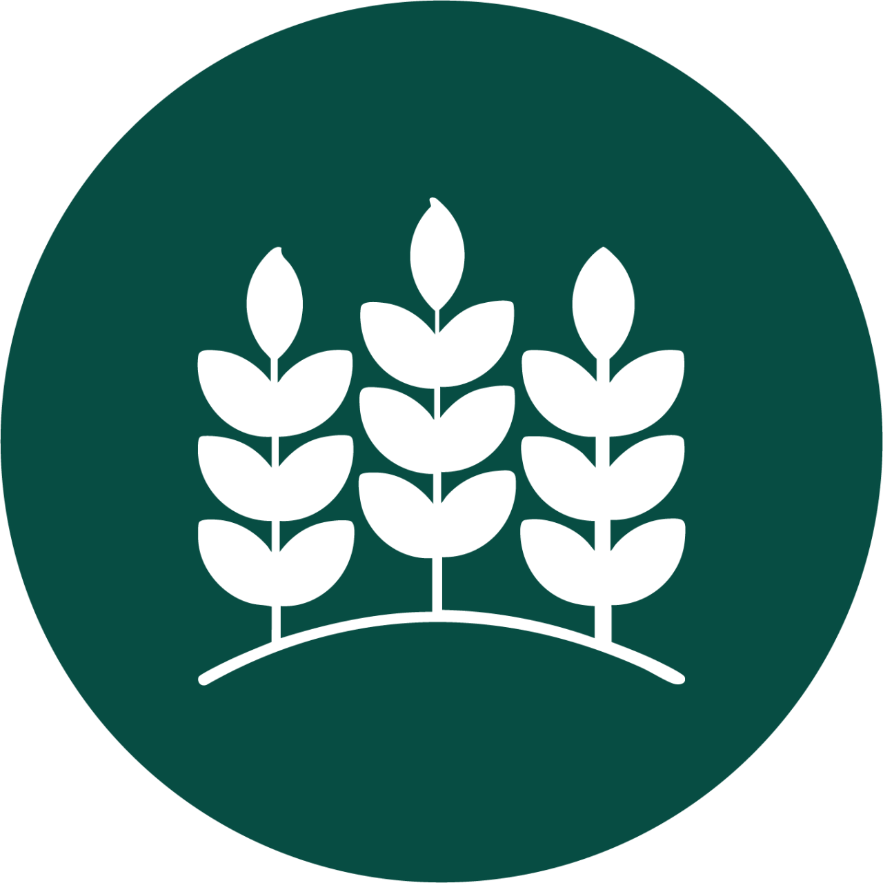 Systemic Environmental Solutions | ISCM Foundation